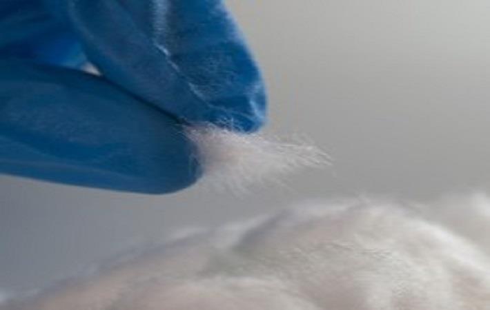 Technical Absorbents to showcase innovations at Greentech ...