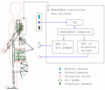 Fig.2 Sensing and Control System ofPower Assist Suit